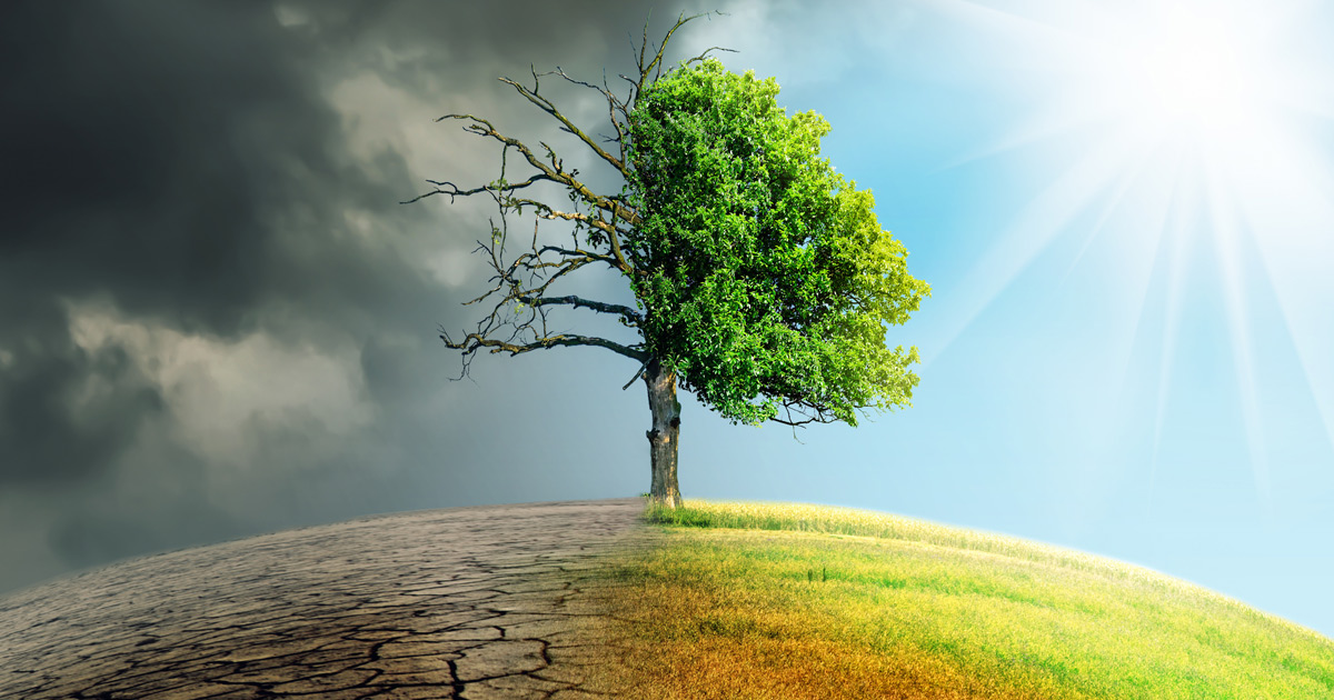 Lyme? Mold toxicity? Other chronic ills? Read this book. - LymeDisease ...