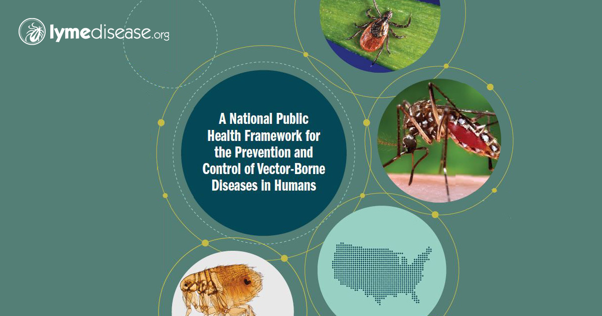 Vector Borne Diseases Vector Borne Diseases Archives Climate Program