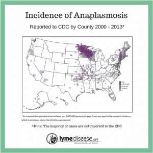 LYME SCI: Anaplasmosis, the "anti-freeze" co-infection | LymeDisease.org