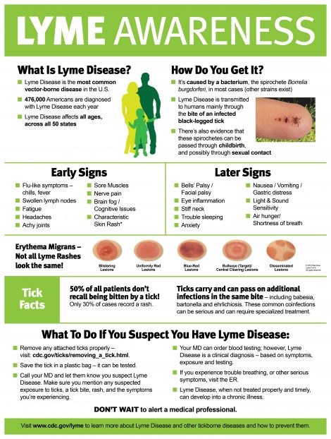 "Health-plus" report details Lyme challenges and proposes solutions