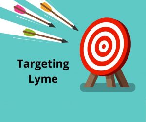 TOUCHED BY LYME: The promise of a targeted drug for Lyme disease