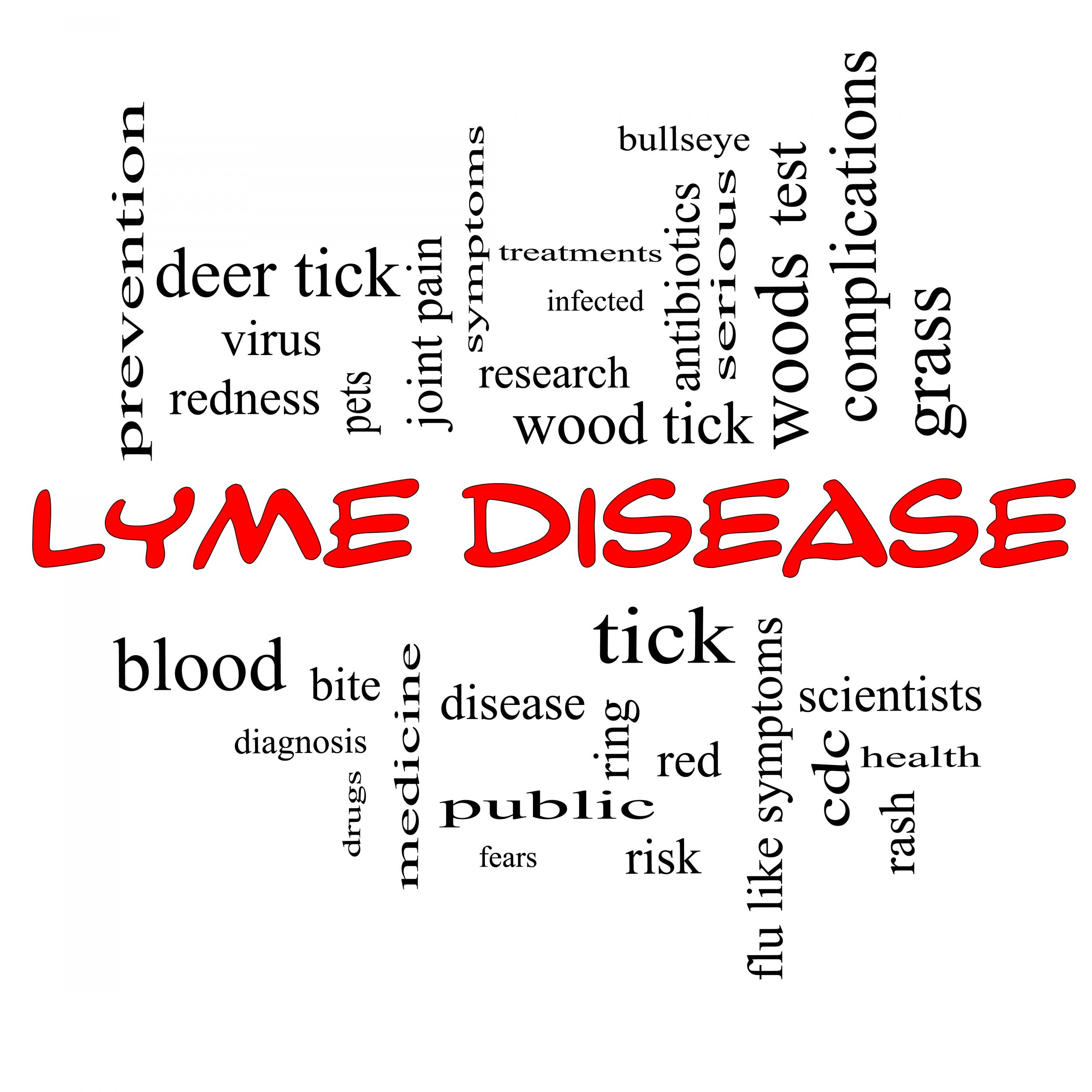 “Standard” Lyme testing once again proves fatal