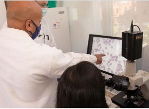 Researchers say combo therapy eliminates babesiosis in mice