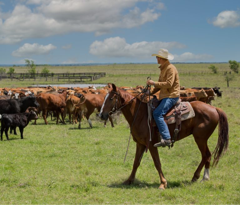 Ranch hand with alpha‑gal syndrome wins key workers’ comp ruling ...